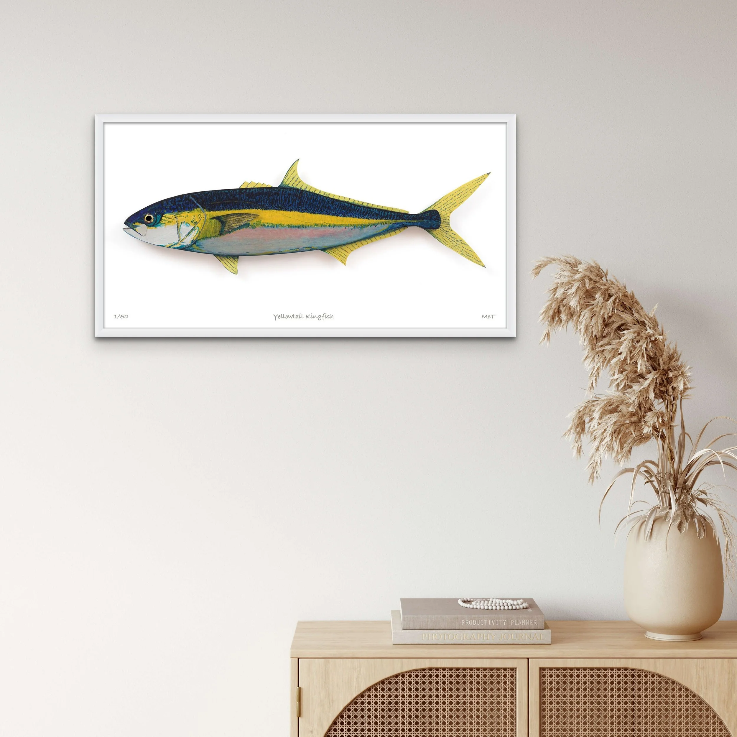 Yellowtail Kingfish — MAC-ART