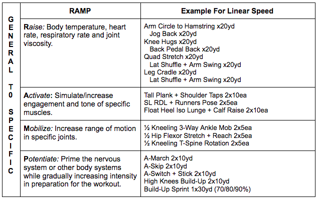 Developing An Effective Warm-Up — EFORCE SPORTS