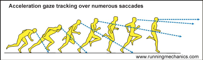 SPRINTING MECHANICS MADE SIMPLE: MAXIMIZING ACCELERATION — EFORCE SPORTS