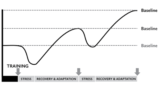 Understanding The Training Process: Stress, Recovery, Adaptation ...