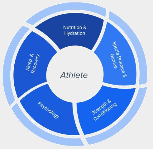 BUILDING BLOCKS OF A HIGH-PERFORMANCE LIFESTYLE — EFORCE SPORTS