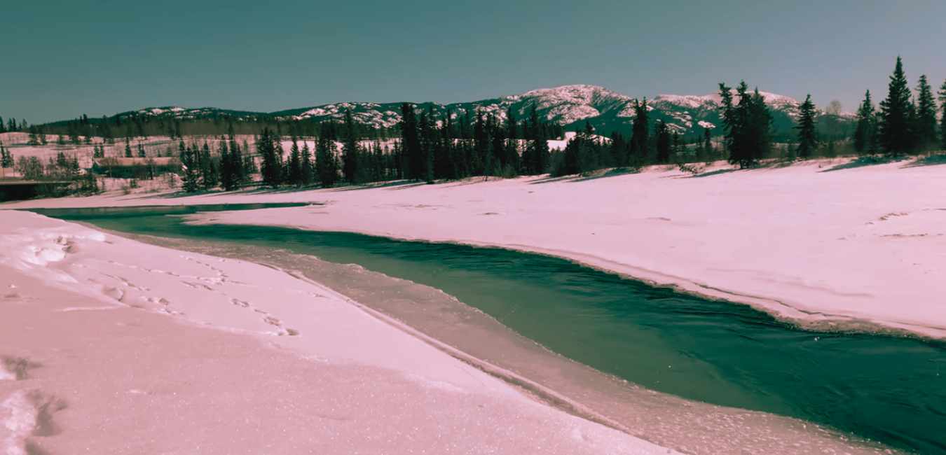 Wait Up - Neffy and Mellisa Murray — The Social Distancing Festival