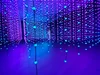 Photos inside Scottsdale’s Wonderspaces interactive art museum — Whole ...