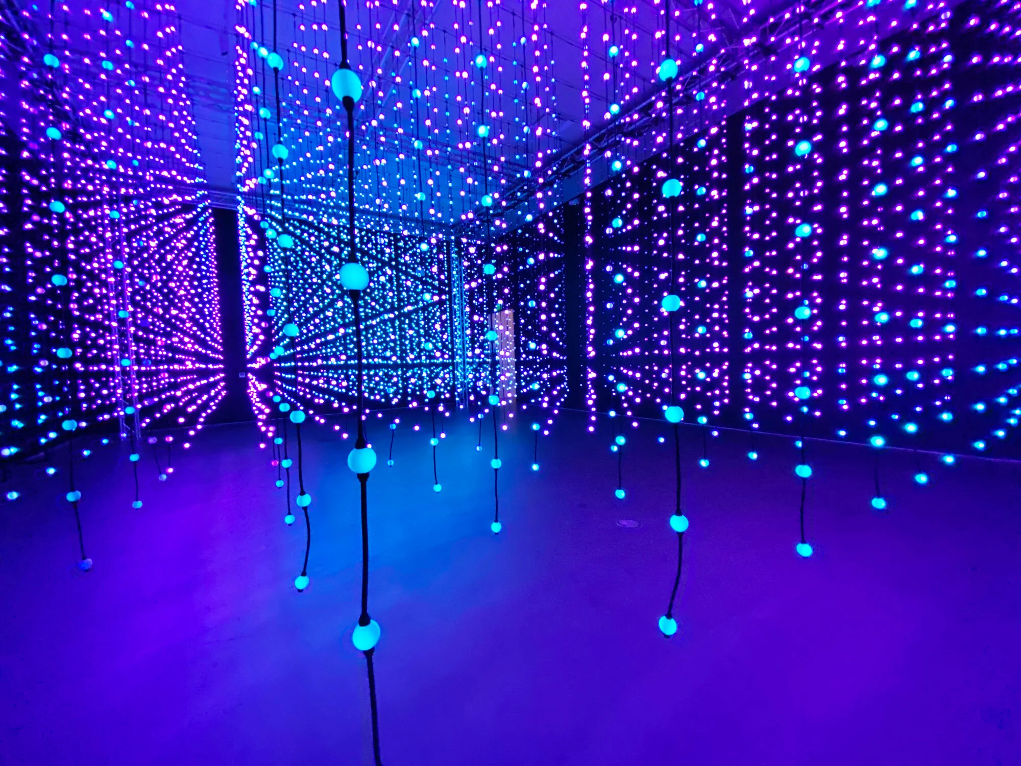 Photos inside Scottsdale’s Wonderspaces interactive art museum — Whole ...