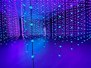 Photos inside Scottsdale’s Wonderspaces interactive art museum — Whole ...