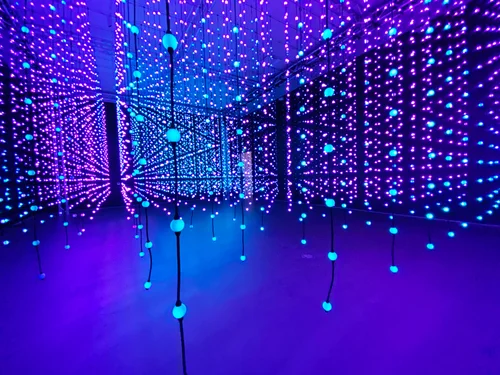 Photos inside Scottsdale’s Wonderspaces interactive art museum — Whole ...