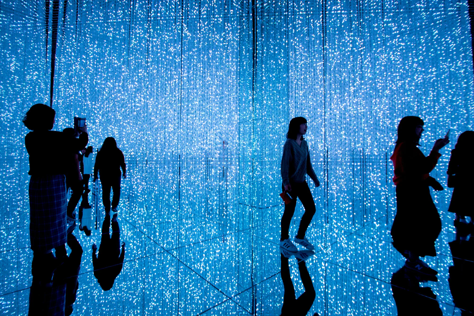 10 photos inside Tokyo’s Teamlab borderless experience — Whole Widen World