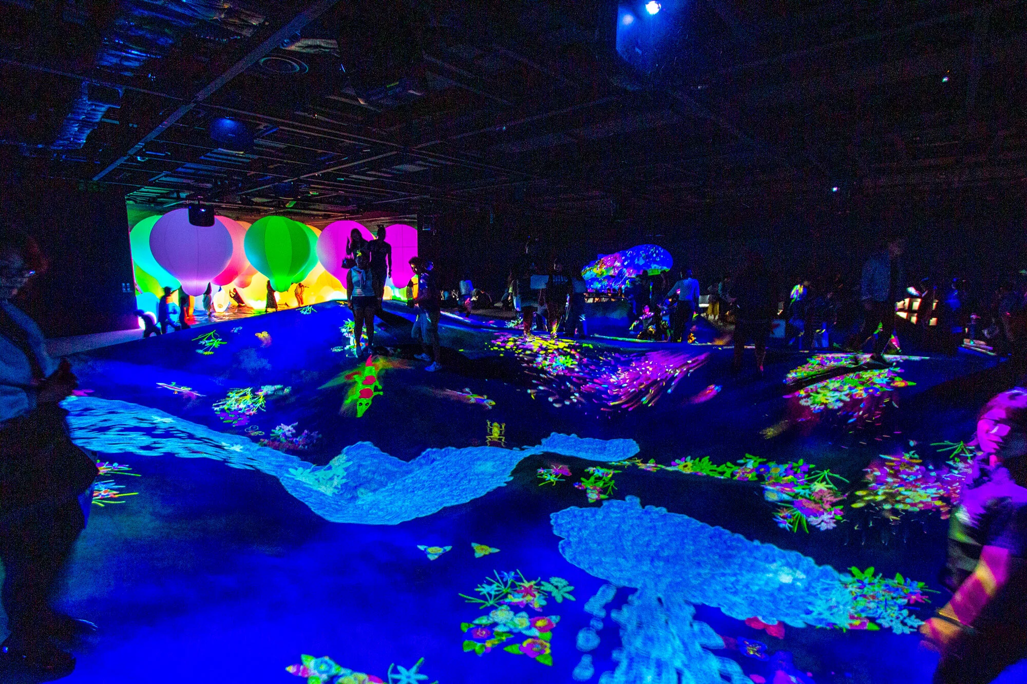 10 photos inside Tokyo’s Teamlab borderless experience — Whole Widen World