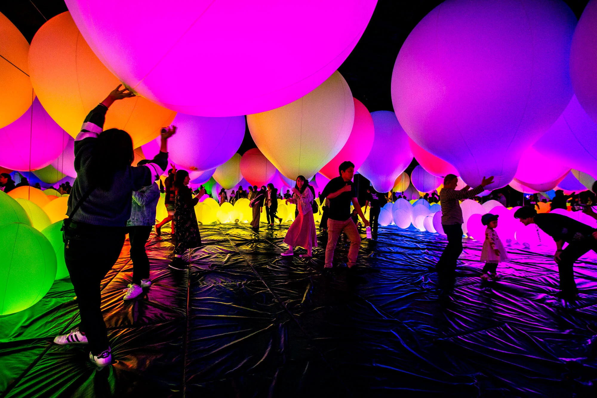 10 photos inside Tokyo’s Teamlab borderless experience — Whole Widen World