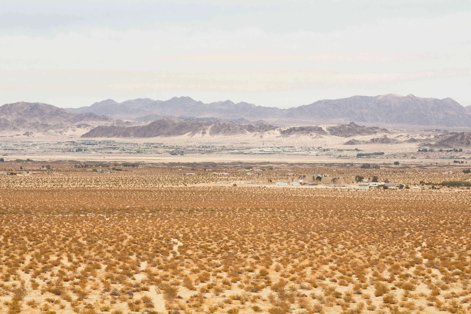 Christmas in Joshua Tree — Whole Widen World