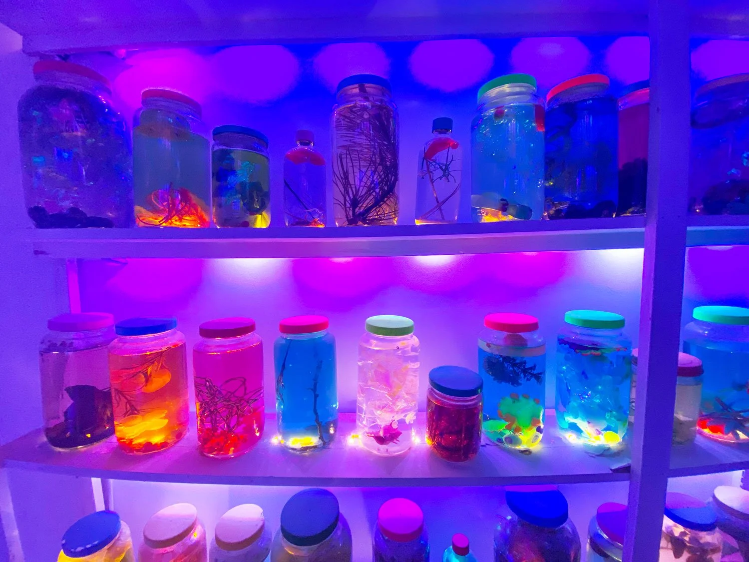 Exploring the bizarre Toronto Funhouse — Whole Widen World