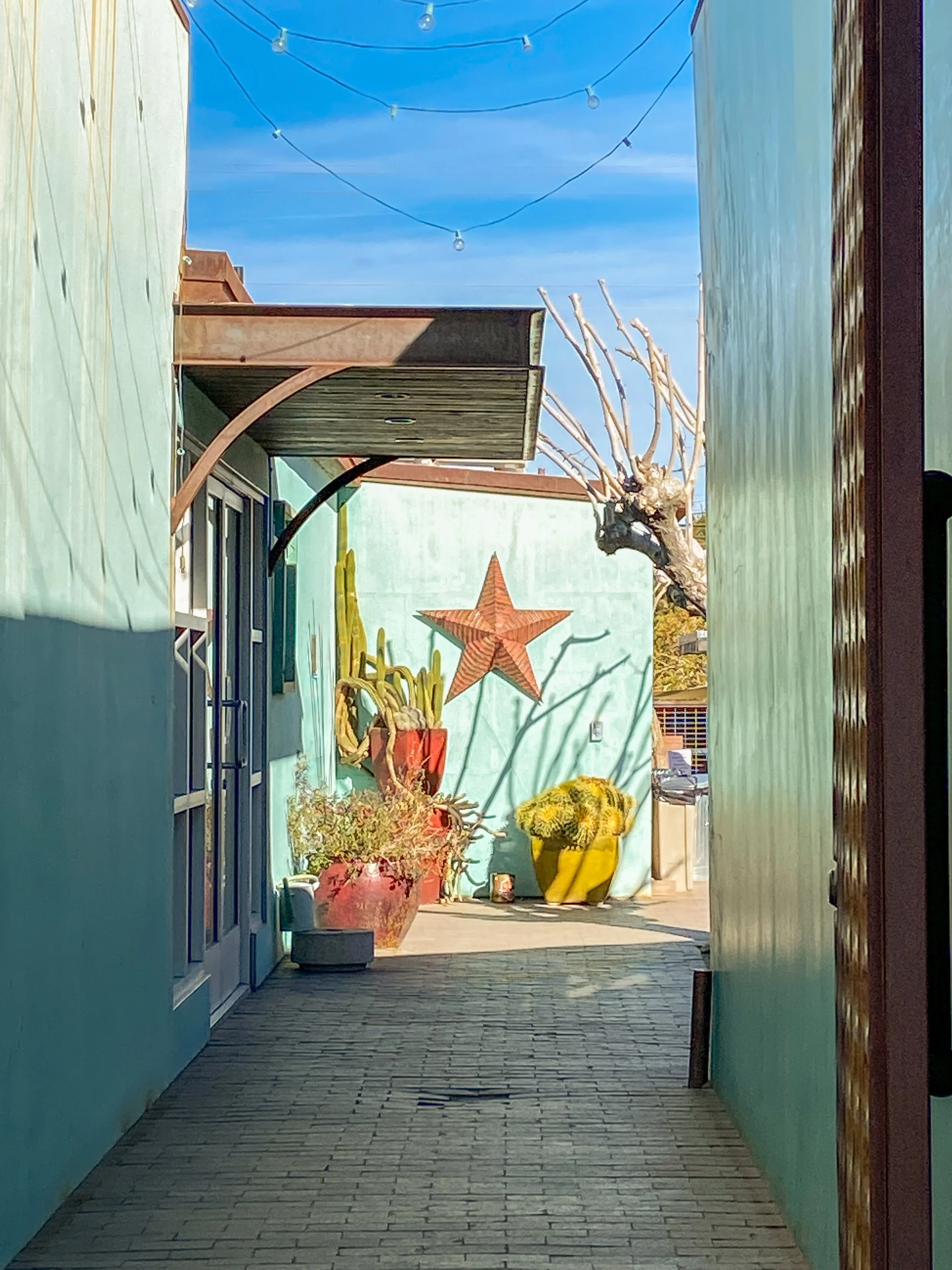 Christmas in Joshua Tree — Whole Widen World