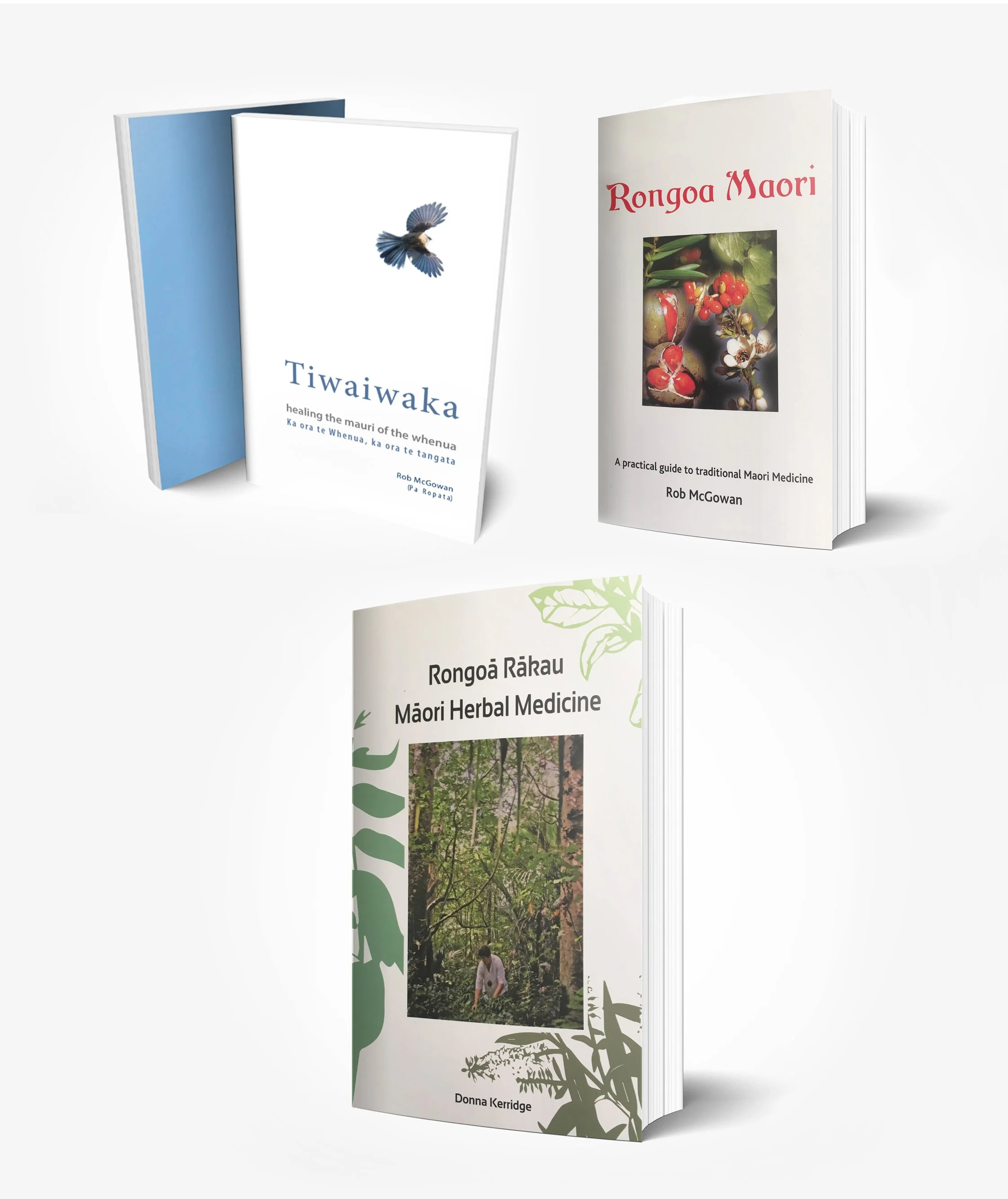 Pā / Rob McGowan — Tīwaiwaka