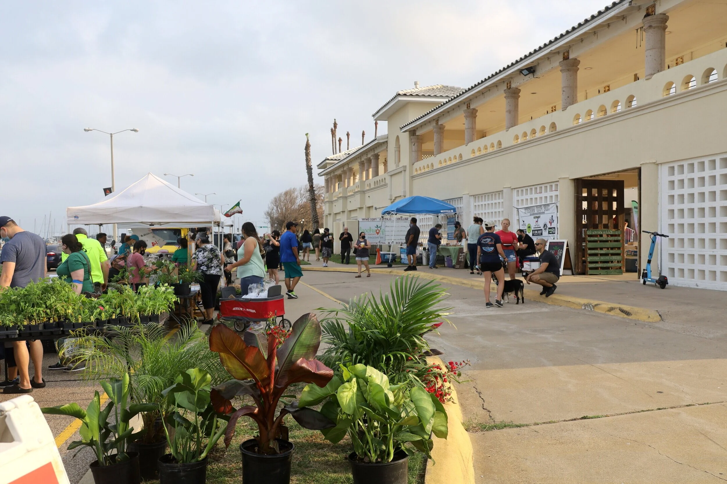 Farmers' Market — Grow Local South Texas