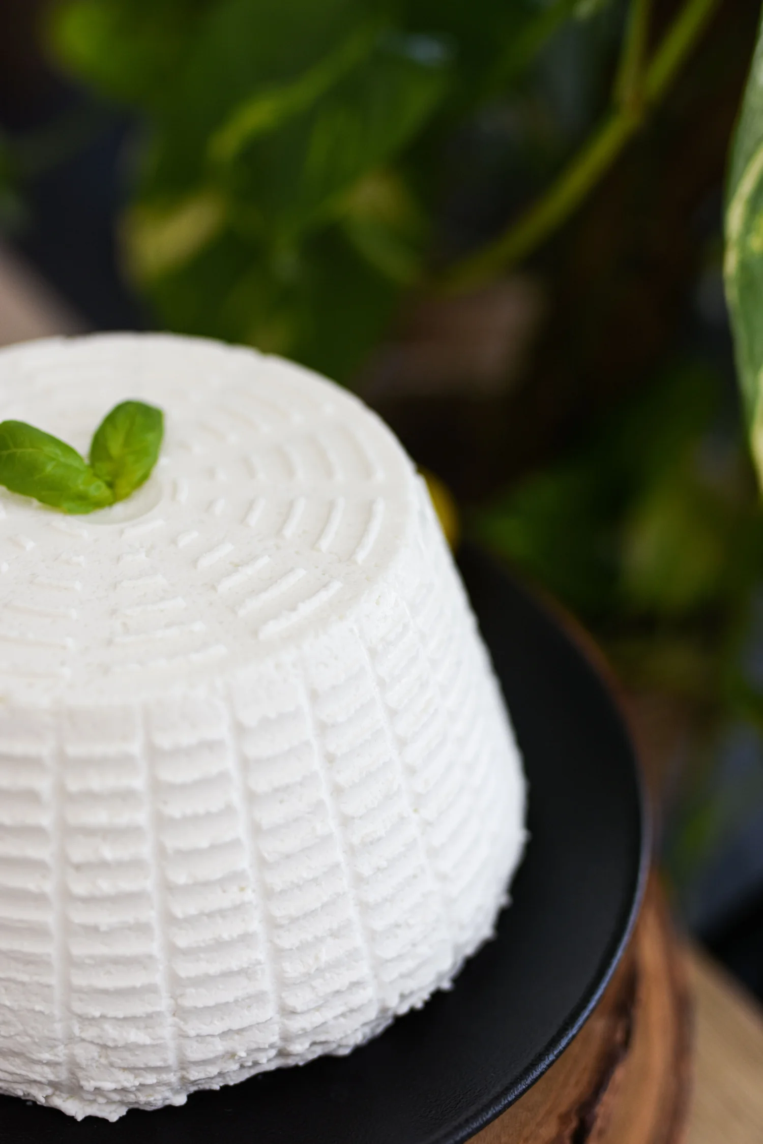 Italian Dairy Products