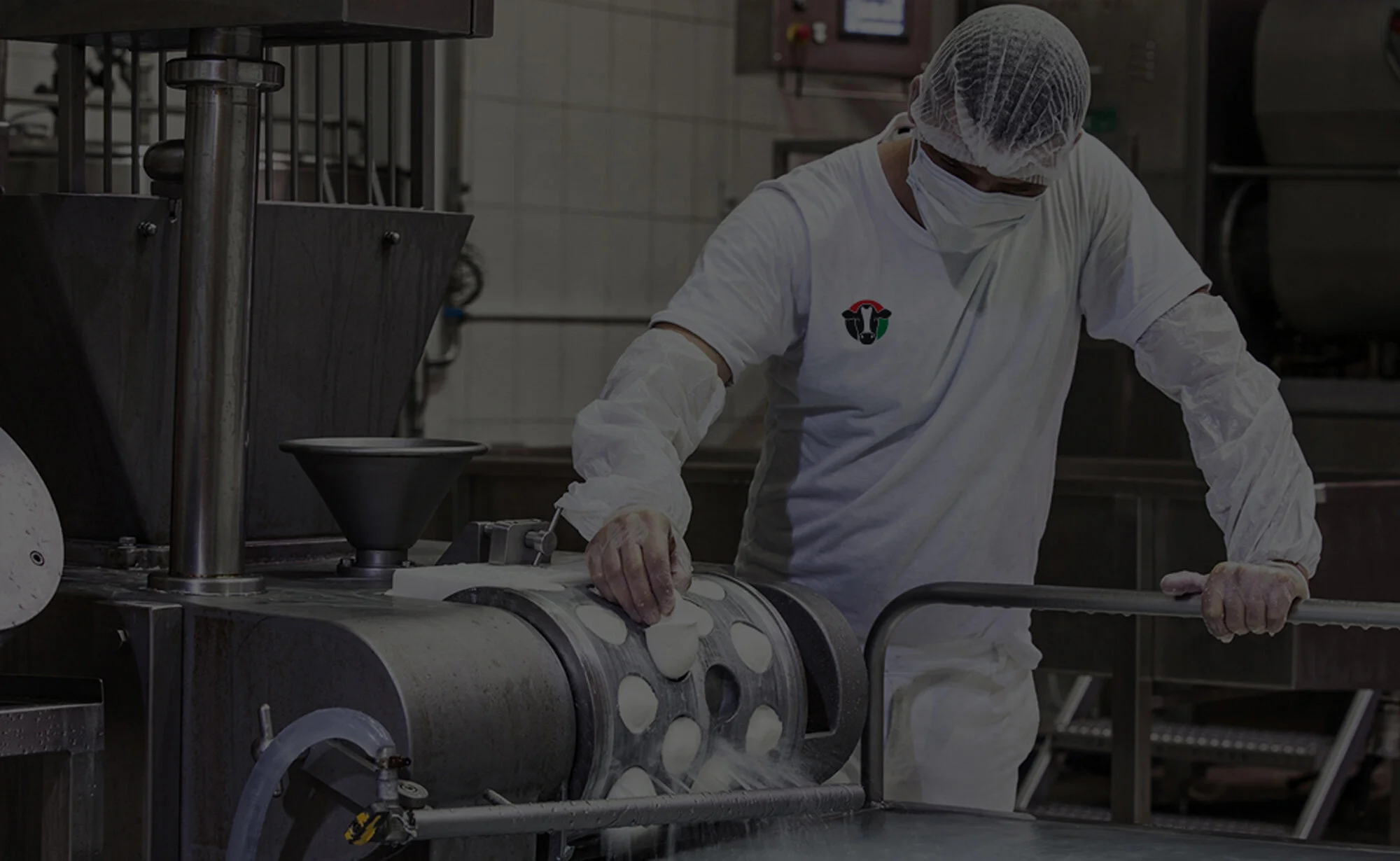 Italian Dairy Products