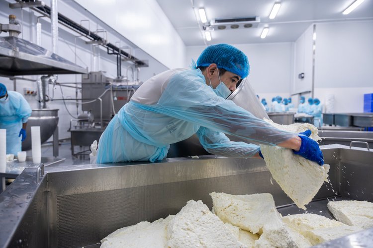 Italian Dairy Products