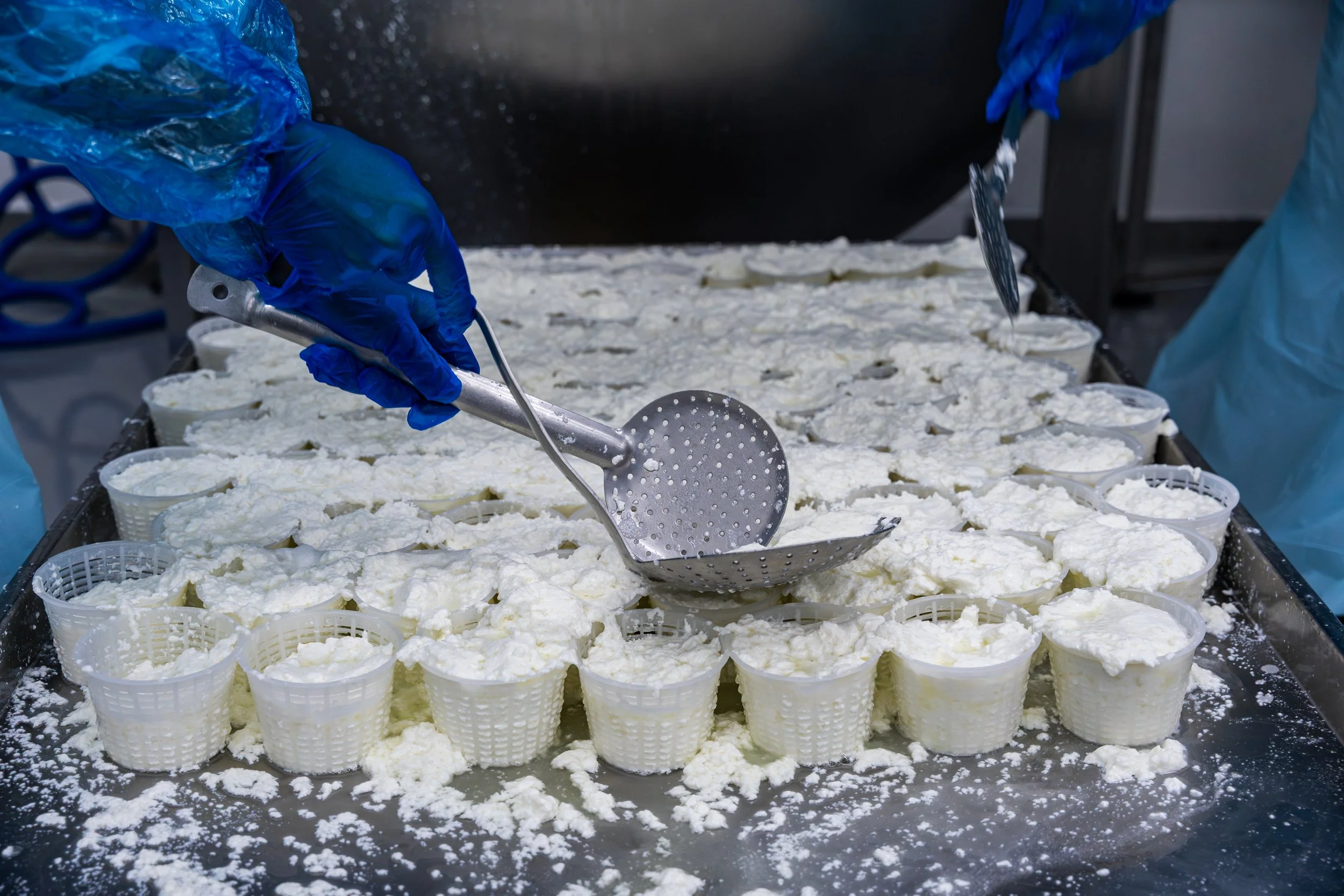 Italian Dairy Products