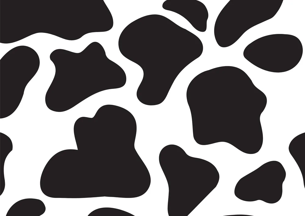 Italian Dairy Products