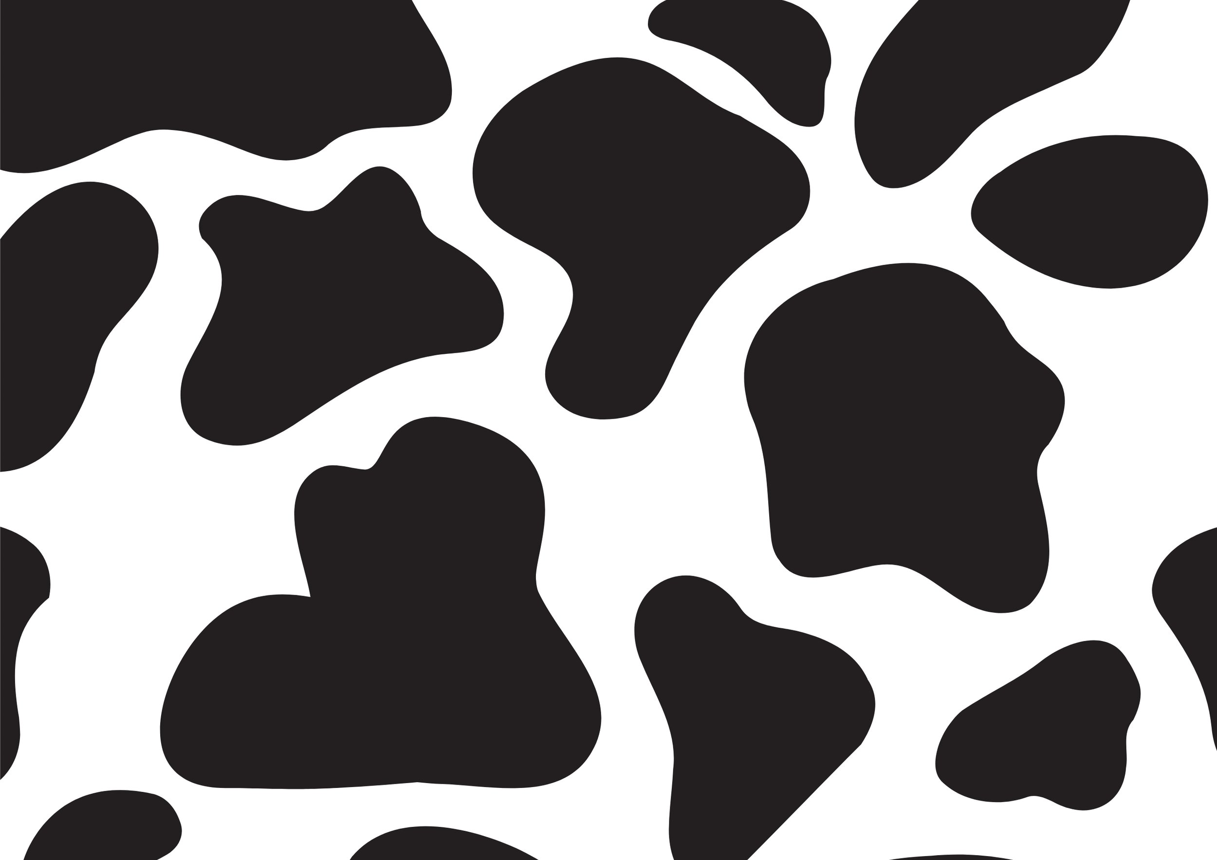 Italian Dairy Products