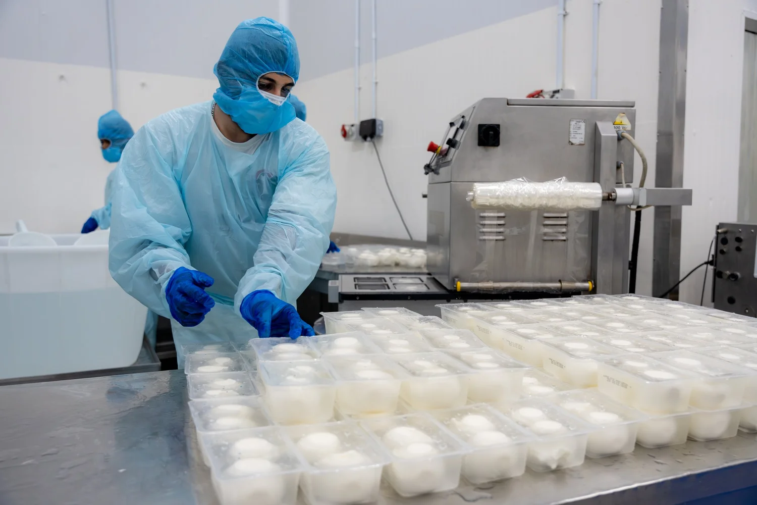 Italian Dairy Products