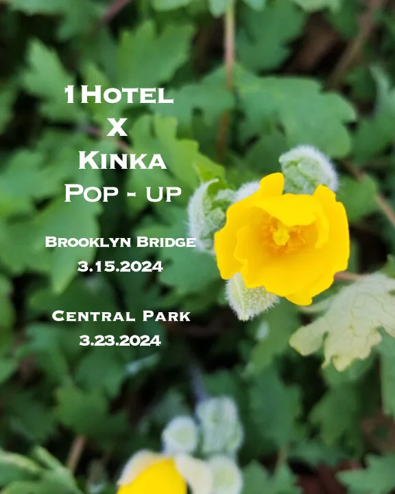 KinKa