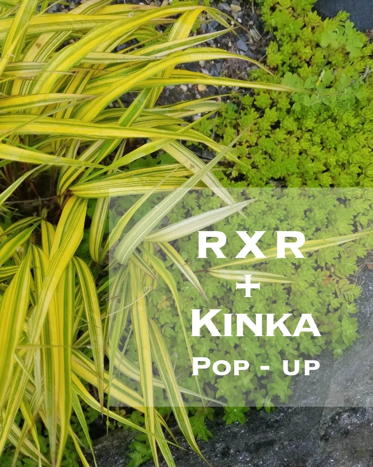 KinKa