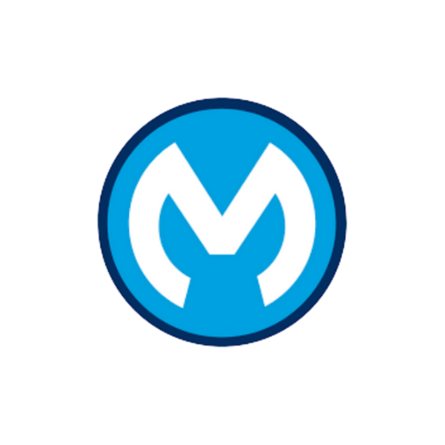 Mulesoft — Vantage Point - Salesforce Expertise