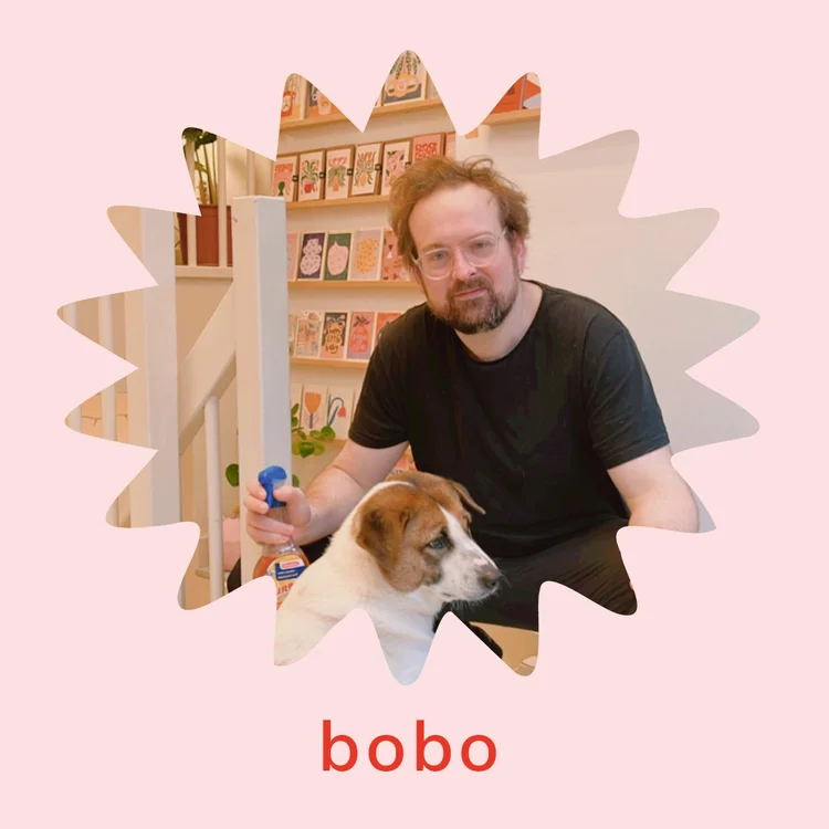 about pansy — pansy