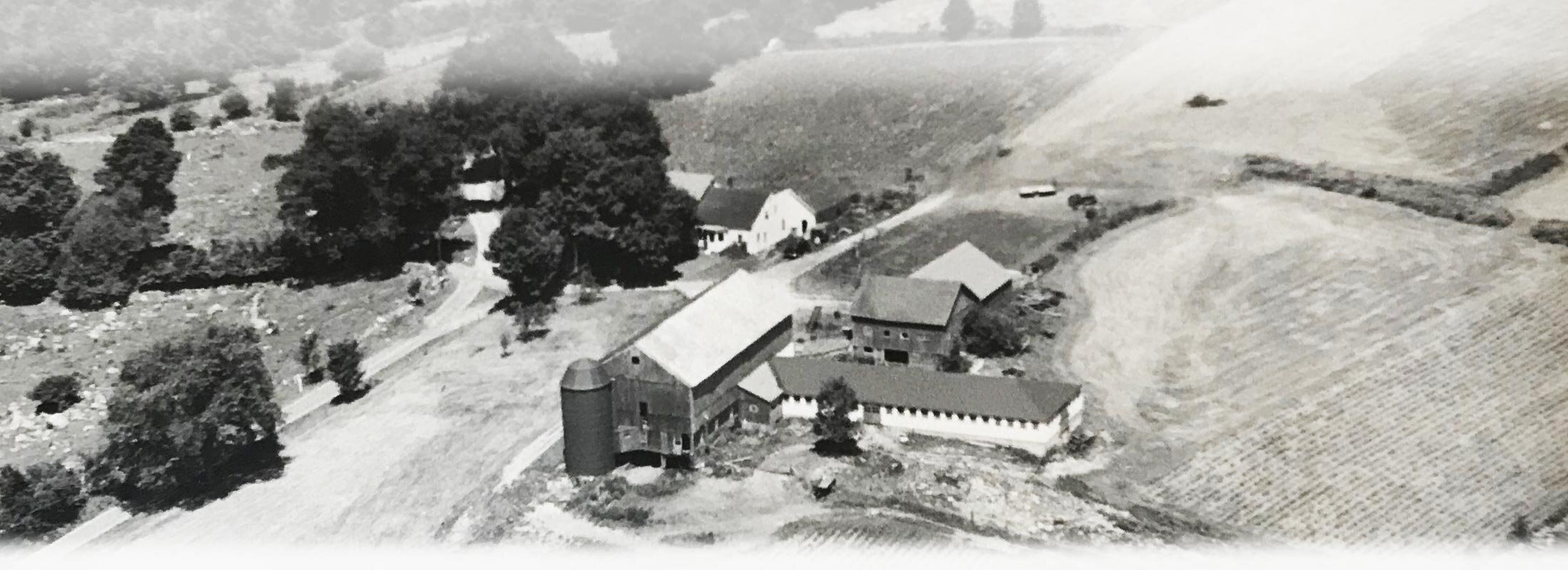 Our History — Maple Hill Farm