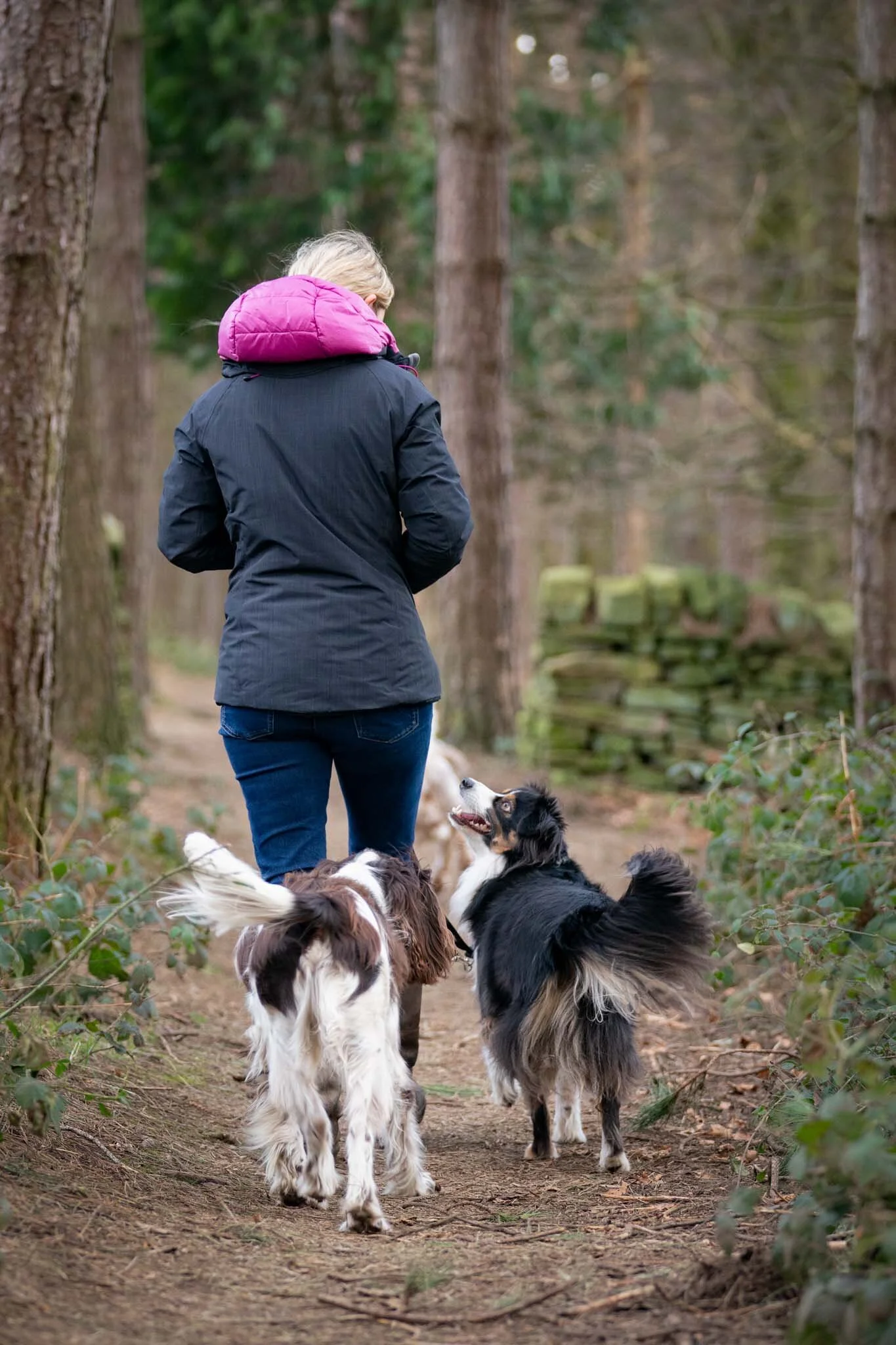 Centre of Animal Behaviour: Animal Behaviourist