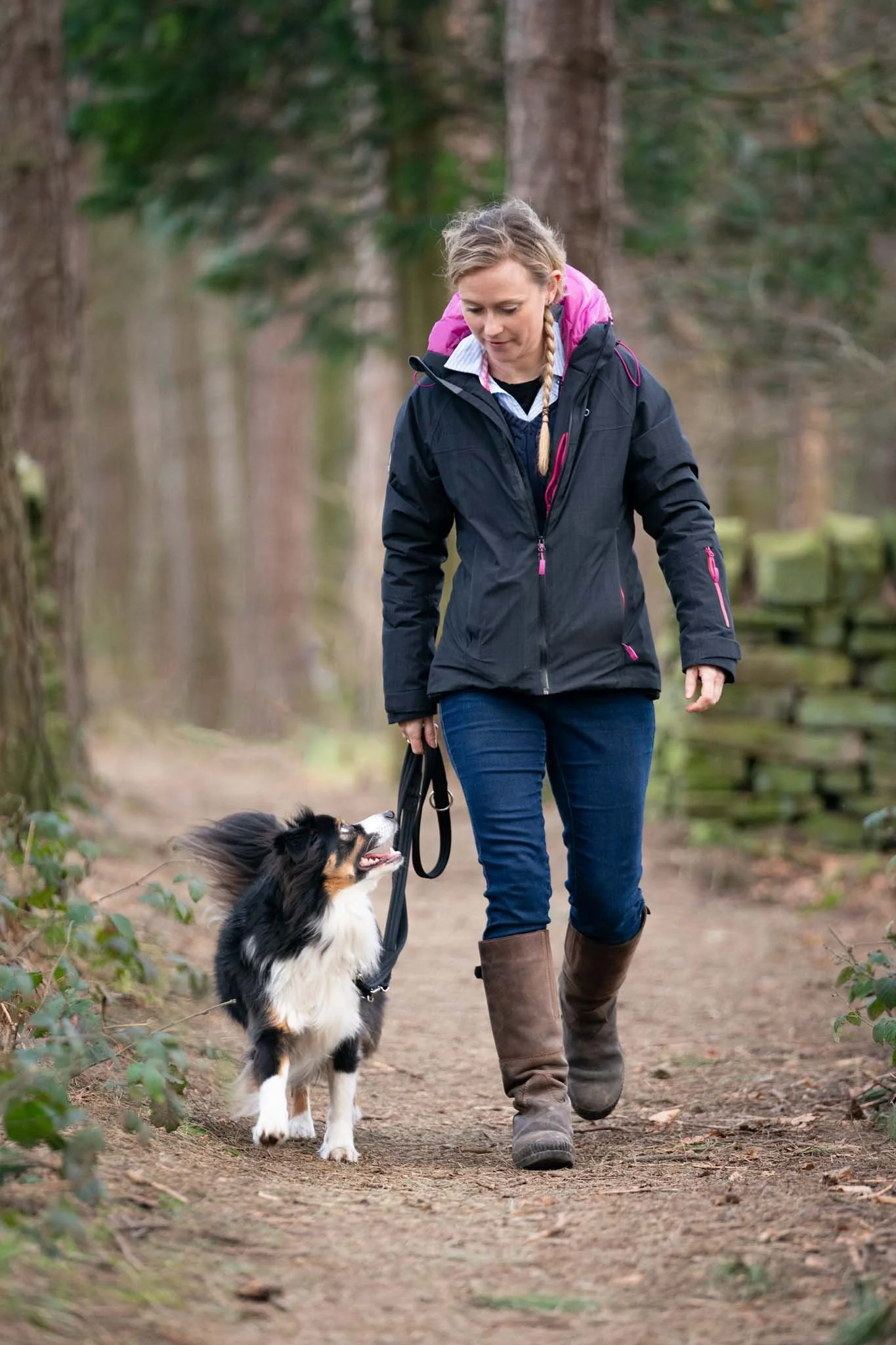 Centre of Animal Behaviour: Animal Behaviourist