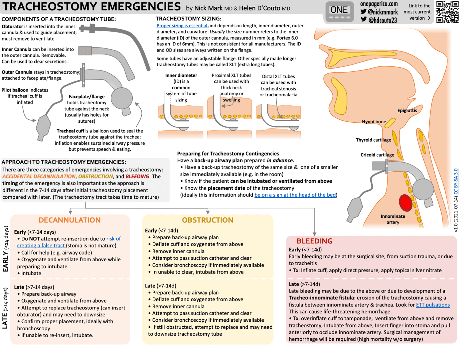 Tracheostomy emergencies - obstruction, decannulation, & bleeding — ICU ...