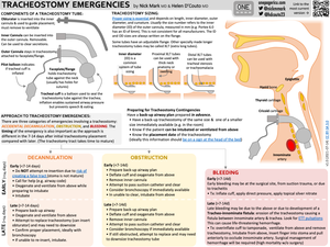 Tracheostomy emergencies - obstruction, decannulation, & bleeding — ICU ...