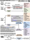 Acid/Base Interpretation — ICU One Pager