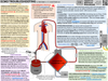 ARDS — ICU One Pager