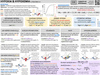 Hypoxia & Hypoxemia — ICU One Pager