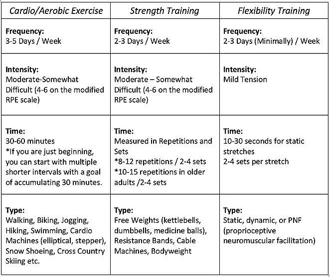 Exercise Programming 101: A Beginner’s Guide to Establishing a Well ...