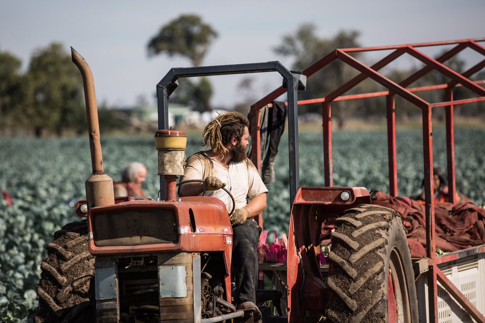 Our Story — ADAMS FARMS