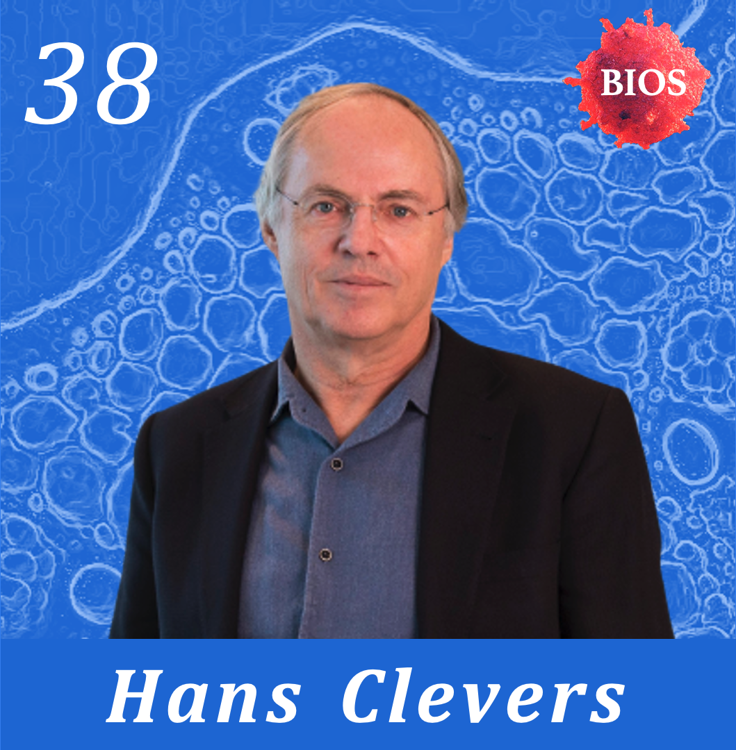 BIOS — 38. Future of Organoids w/ Hans Clevers - Organoid Pioneer ...