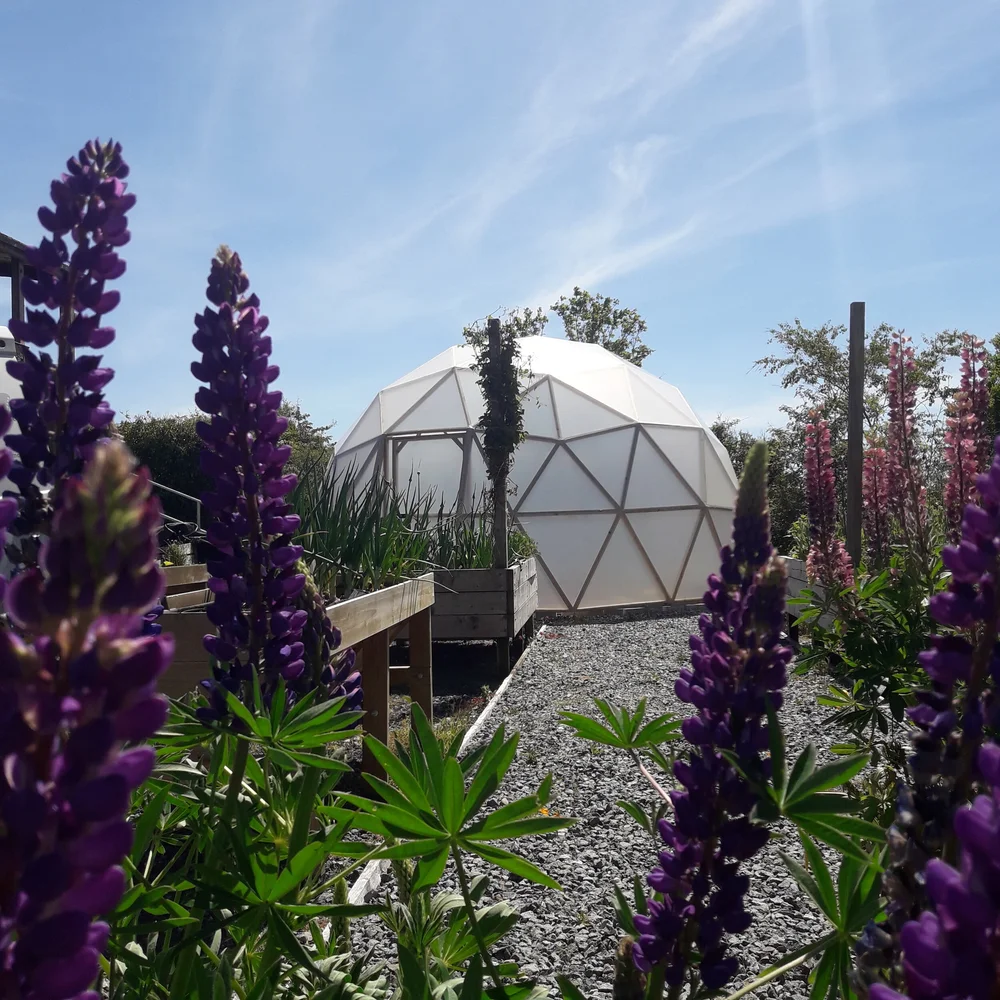 Dome, Geodesic, Glamping Pod, Dome, Garden Office — Snowdon Domes