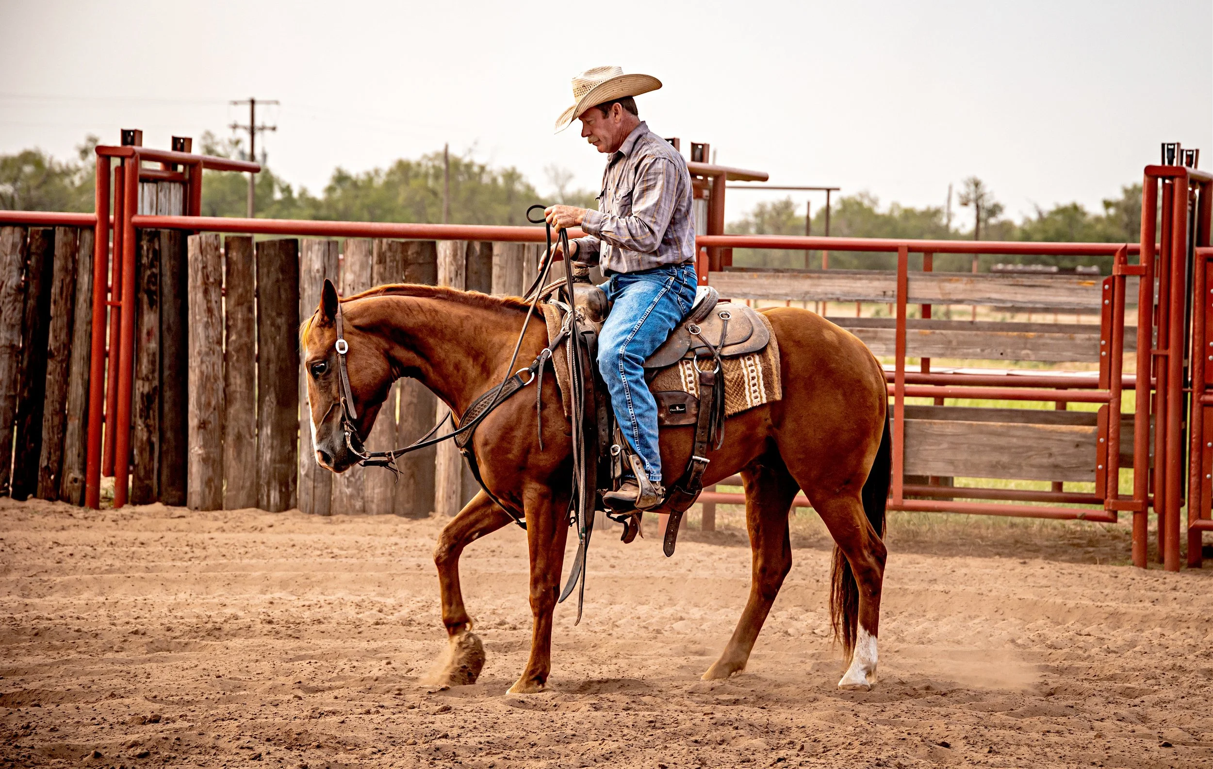 Ranch Employee Consignments — Legacy Ranch Horse Sale