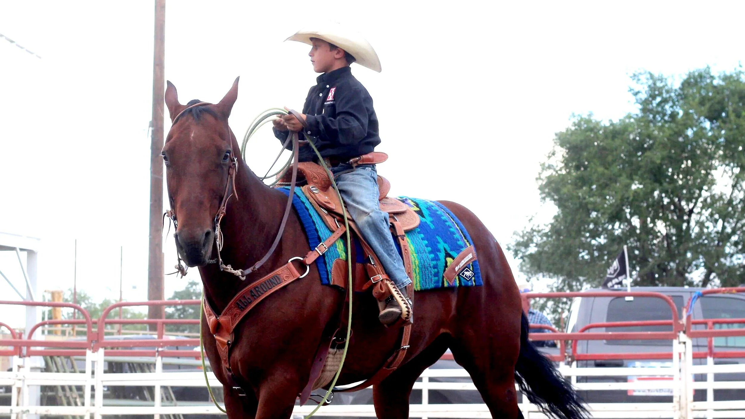 Legacy Ranch Horse Sale