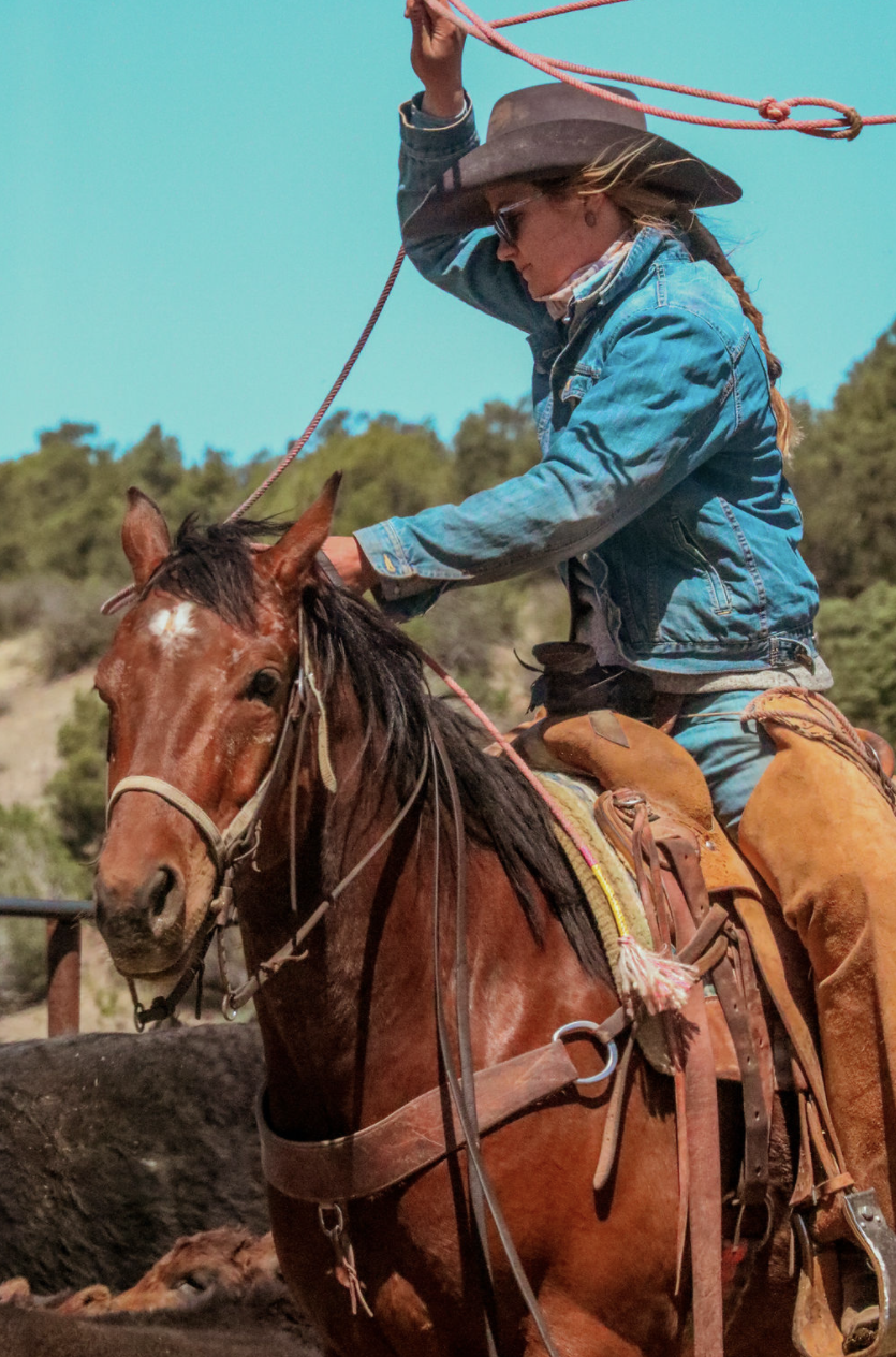 Ranch Employee Consignments — Legacy Ranch Horse Sale