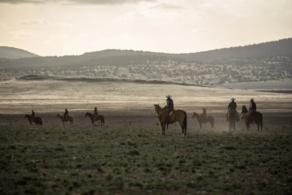 Legacy Ranch History — Legacy Ranch Horse Sale