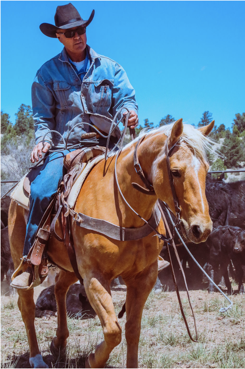 Ranch Employee Consignments — Legacy Ranch Horse Sale