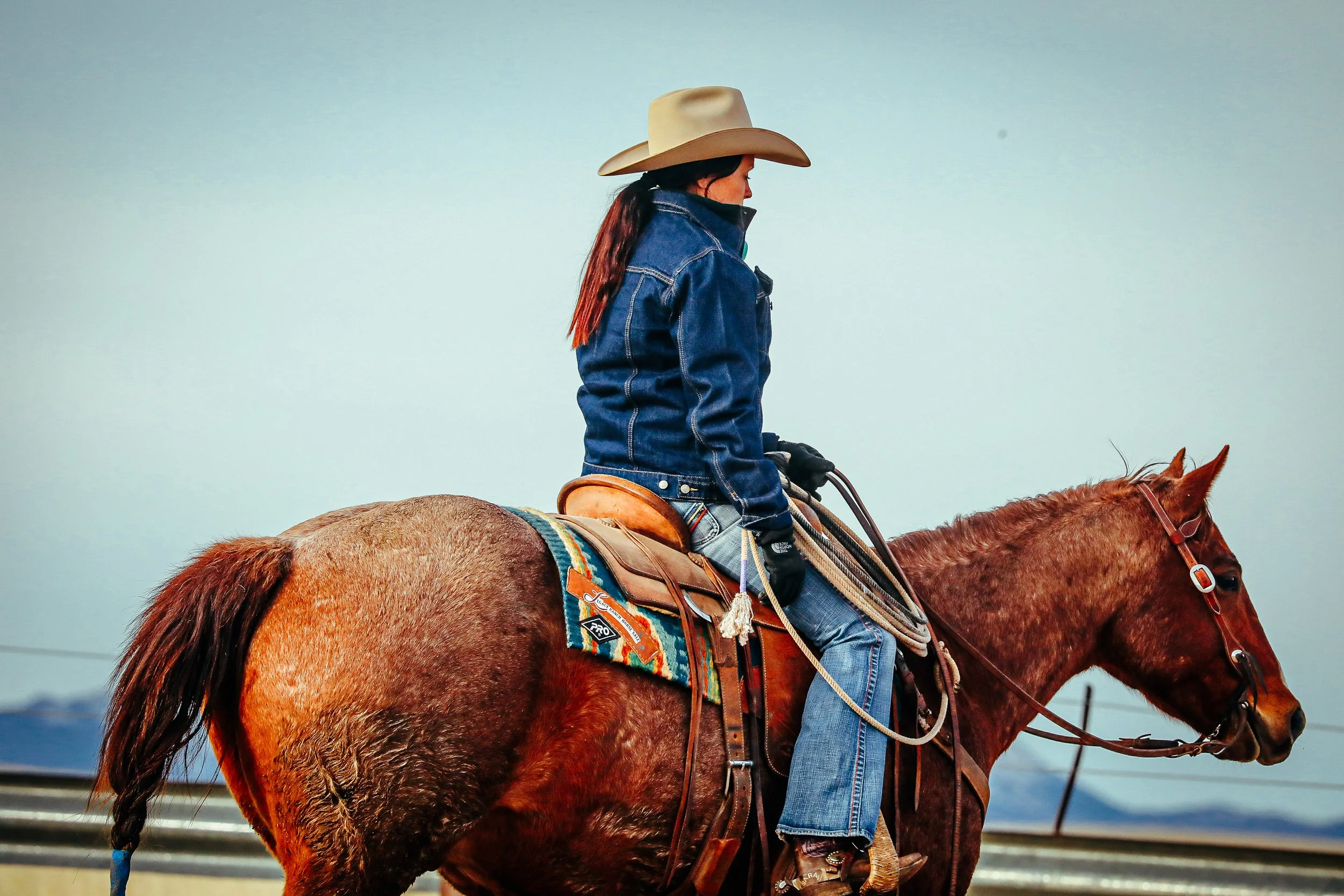 Ranch Geldings — Legacy Ranch Horse Sale