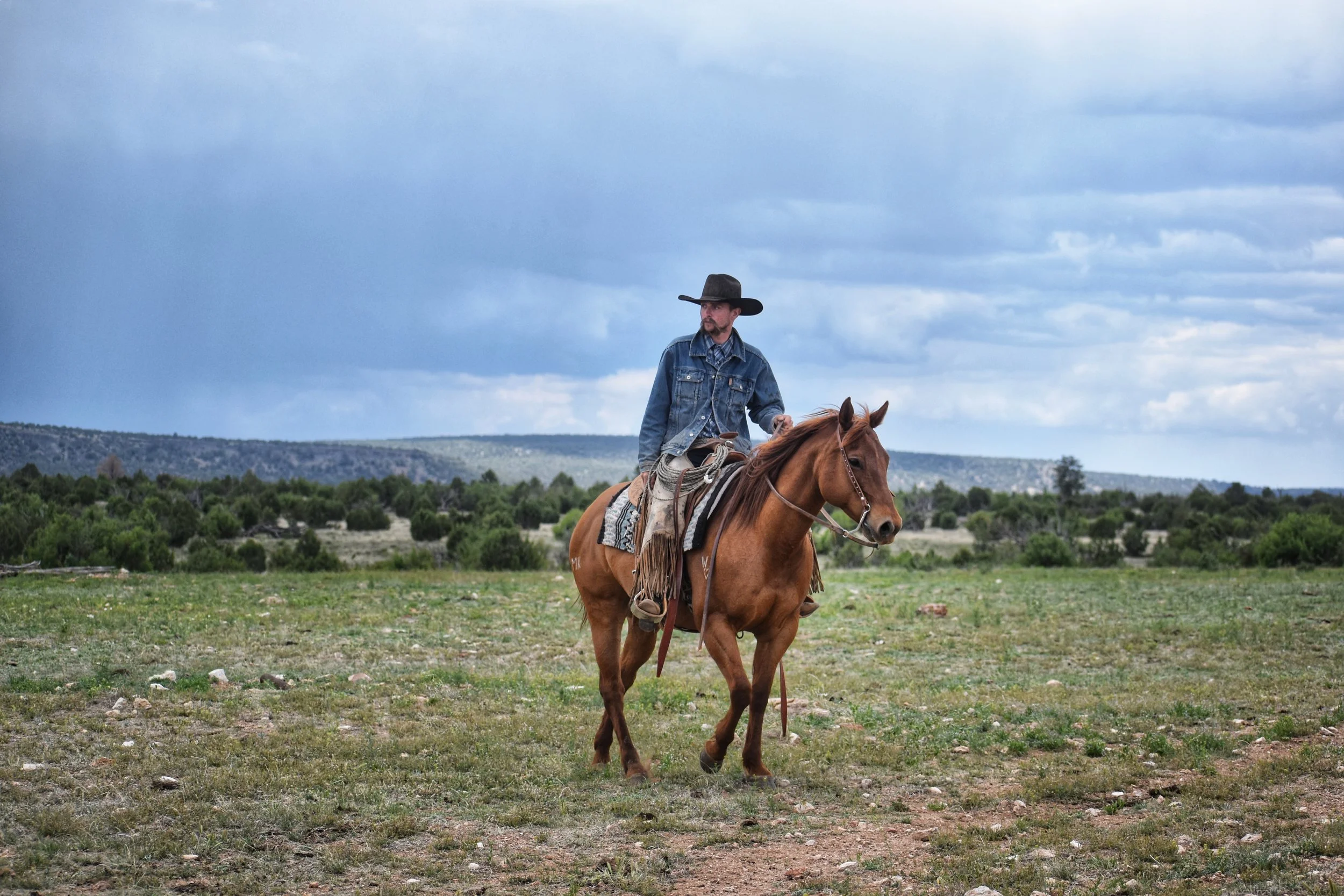Ranch Employee Consignments — Legacy Ranch Horse Sale
