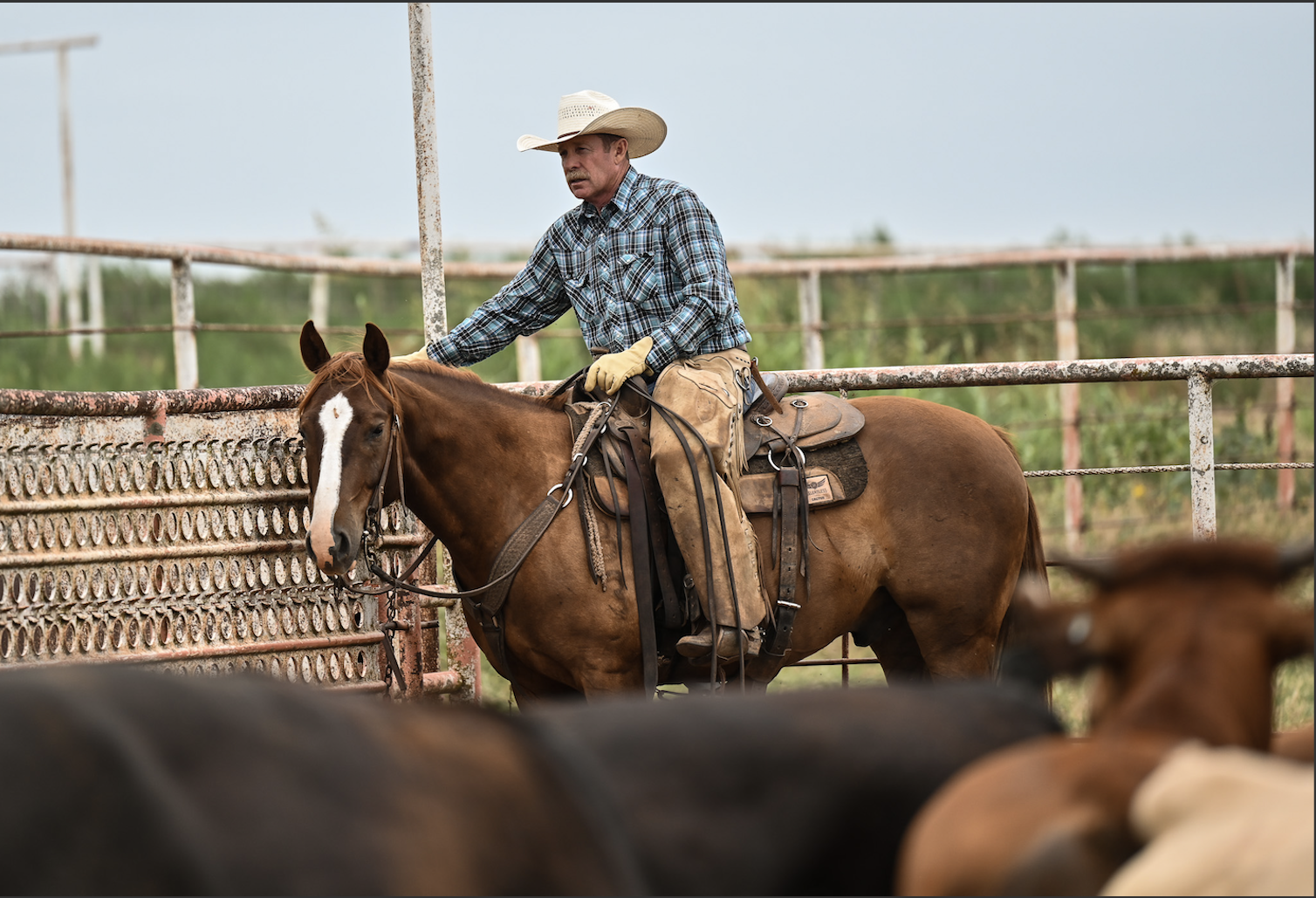 Ranch Employee Consignments — Legacy Ranch Horse Sale