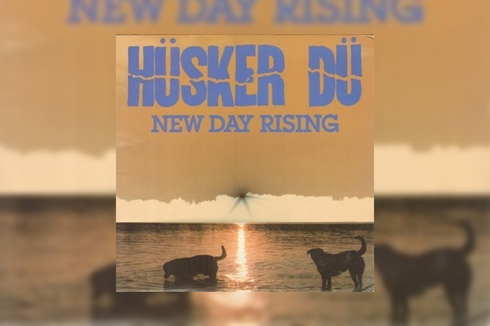 Whats On / Upcoming Gigs — NE Volume Music Bar & Venue